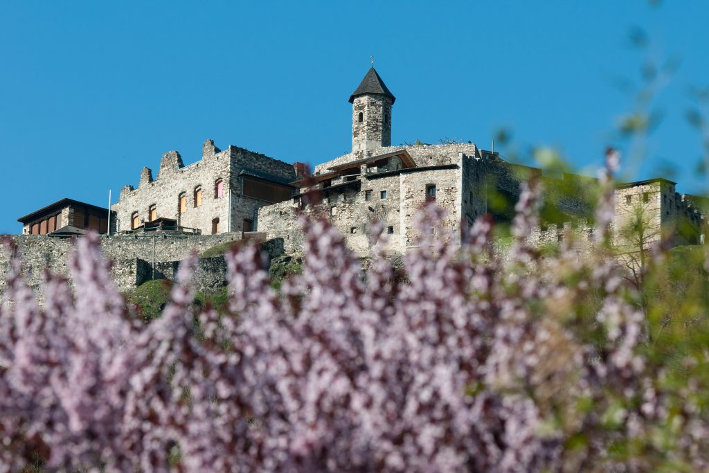 Region Villach Kärnten - Abenteuer Affenberg