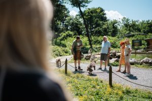 Abenteuer Affenberg - Abenteuer Affenberg