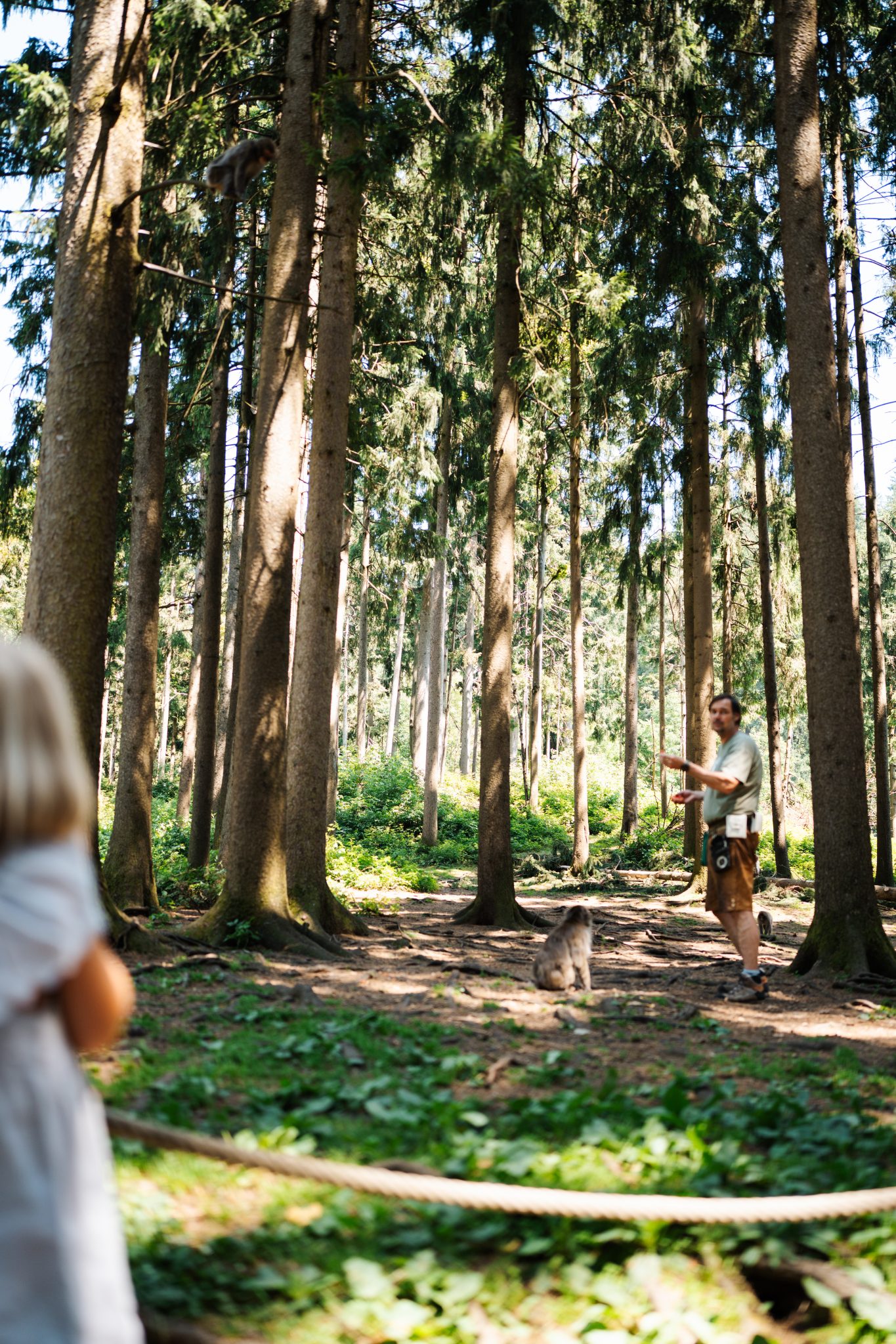 Besuch Planen & FAQs - Abenteuer Affenberg
